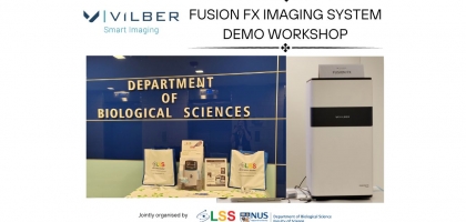 POST EVENT- Vilber Fusion FX Smart Imaging Workshop